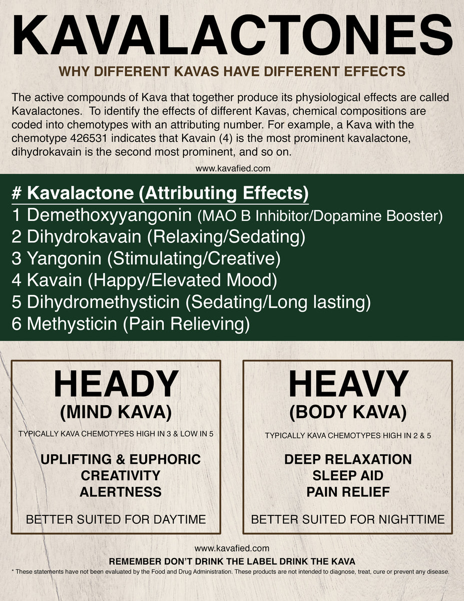 Why different Kavas have different effects - Kavalactones – Kavafied