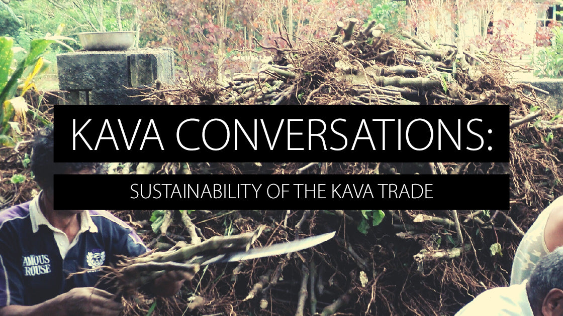 How Sustainable is the Kava Trade? – Kavafied