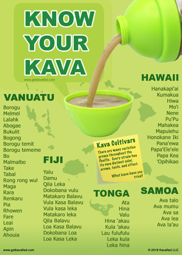 Know Your Kava - What are all the different Kava cultivars? – Kavafied